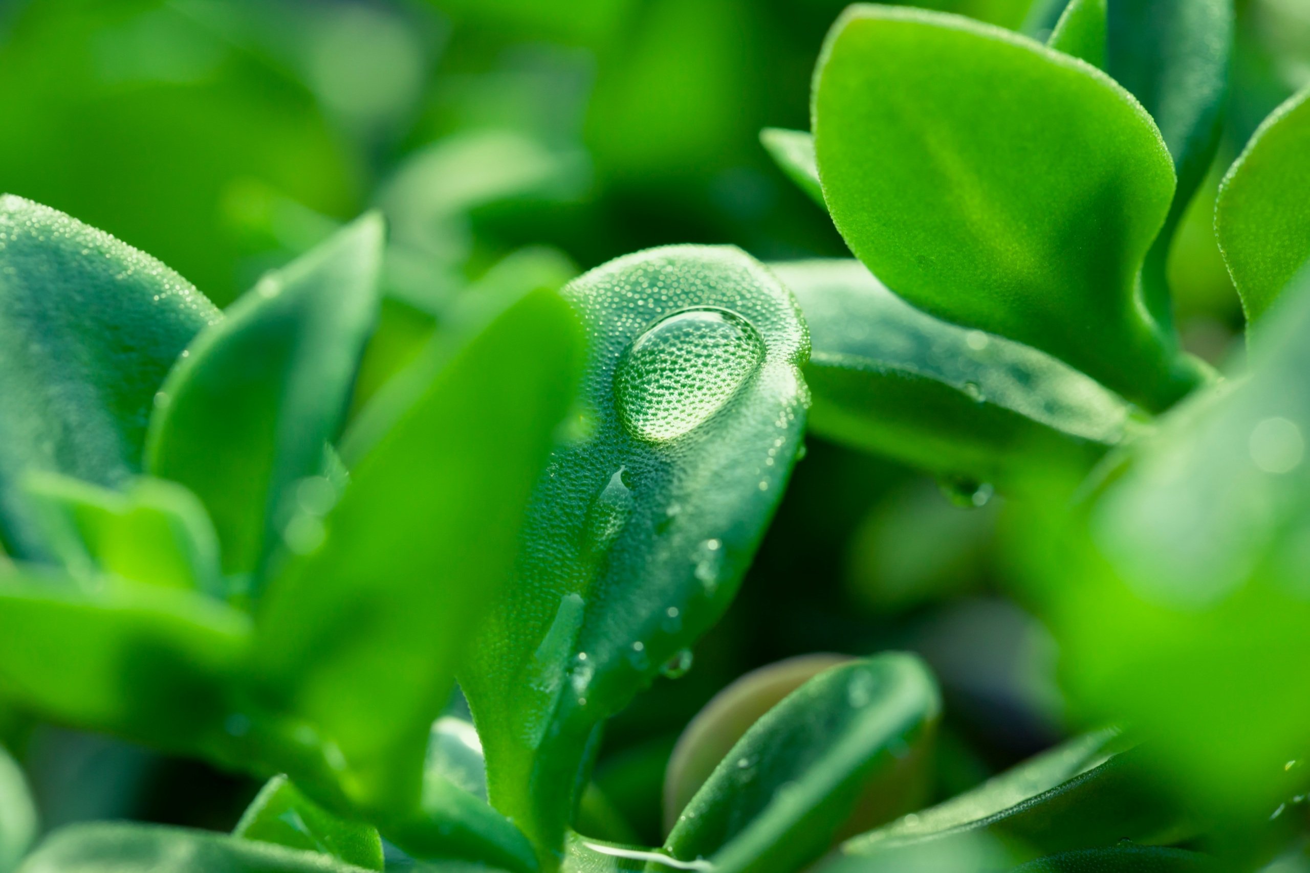 General Environmental Duty | HAZCON